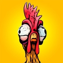 The Retarded Chicken - Coub