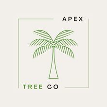 Apex Tree Co - Coub