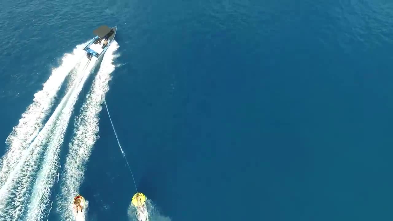 Funny - Coub - The Biggest Video Meme Platform