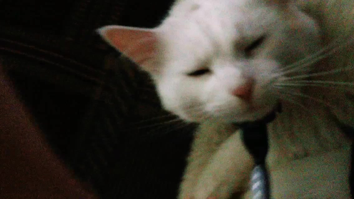 Whrooooom - Coub - The Biggest Video Meme Platform