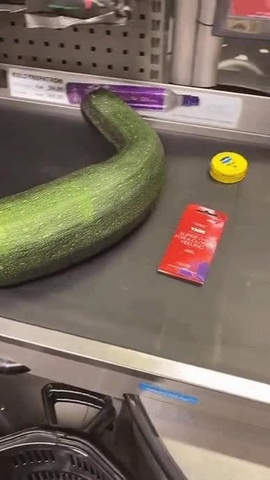Zucchini Lubricant Condom - Coub - The Biggest Video Meme Platform