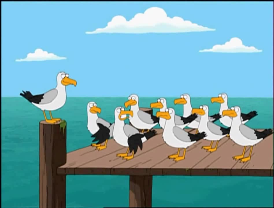 Family Guy Seagulls - Coub - The Biggest Video Meme Platform
