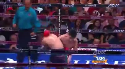 Boxing - Coub - The Biggest Video Meme Platform