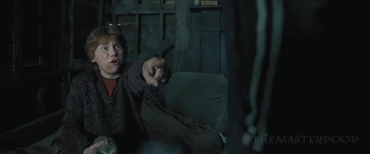 YTP: Harry Potter and the Smelly Old Shoe Brush [Part Two] - Coub - The Biggest Video Meme Platform