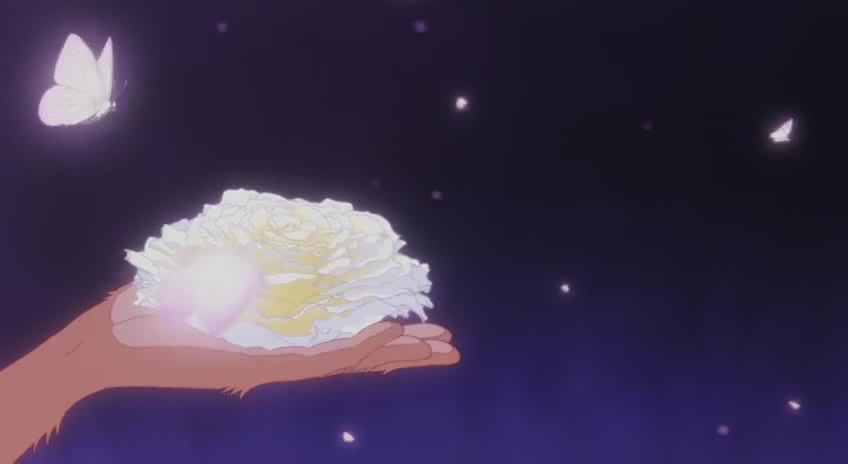 Bakemono no ko illusion - Coub - The Biggest Video Meme Platform