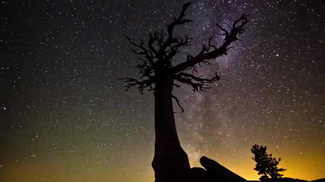 No Time - Coub - The Biggest Video Meme Platform