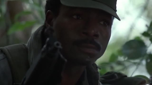 This is the jungle, brother - Coub - The Biggest Video Meme Platform