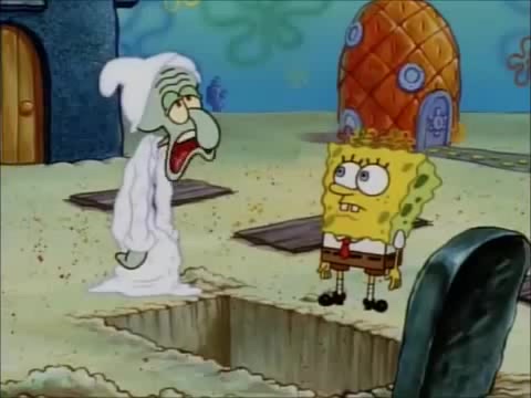 You're Bald?! | SpongeBob SquarePants - Coub - The Biggest Video Meme ...