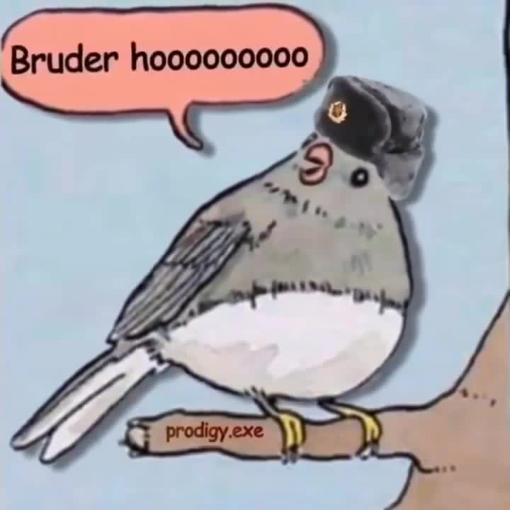 Annoyed Bird - Coub - The Biggest Video Meme Platform
