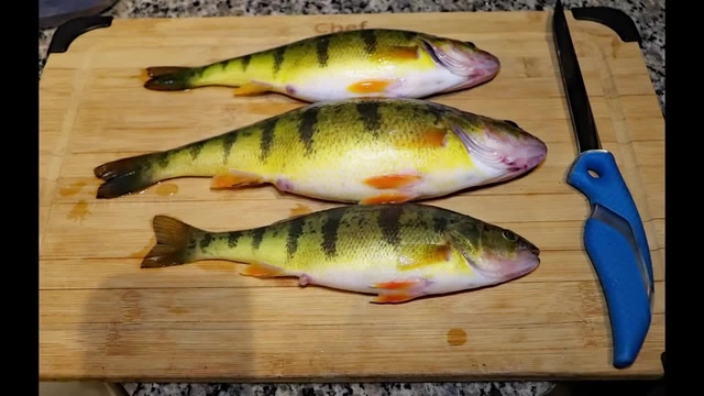 Catch & Cook! Big Perch | How to Cook & Fillet Perch | The Anglers ...