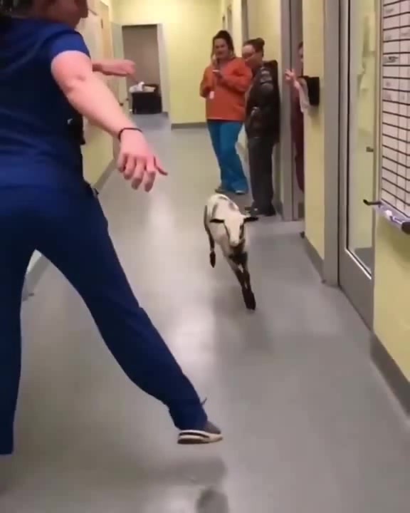 Jump Around - Coub - The Biggest Video Meme Platform