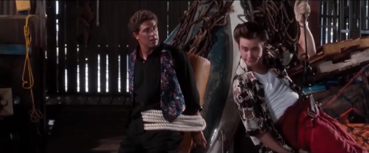 Ace Ventura - Szép volt, fiúk! (Foci EB 2016) PINTÉR, LOVRENCSICS, KÁDÁR TAMÁS, TIBUSZ - Coub ...