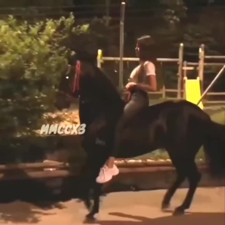 Amazing horse ride - Coub - The Biggest Video Meme Platform