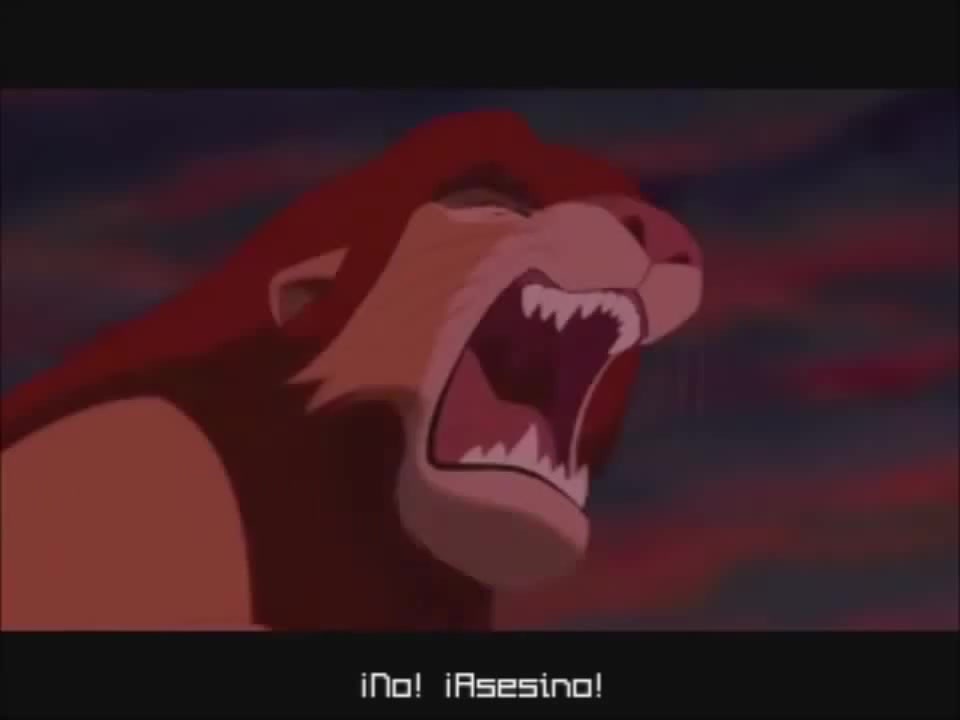 Simba Insulta a Scar y lo llama Asesino - Coub - The Biggest Video Meme ...