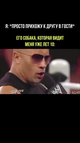 dogs - Coub - The Biggest Video Meme Platform