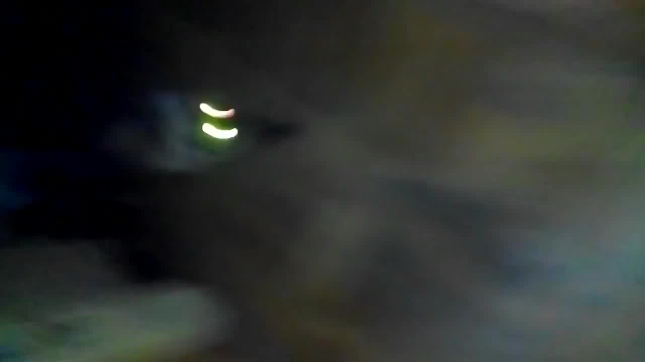 ASSUMING CONTROL - Coub - The Biggest Video Meme Platform