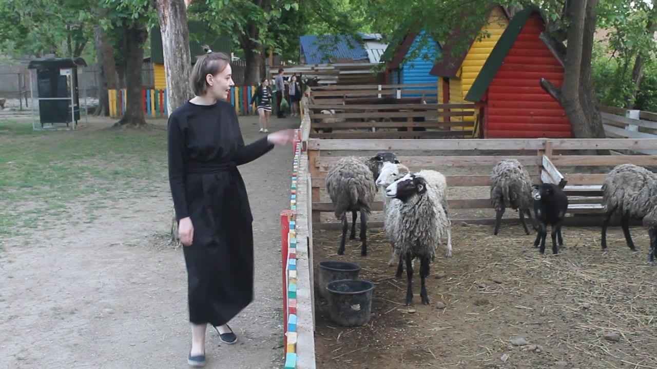 Bye bye goat - Coub - The Biggest Video Meme Platform