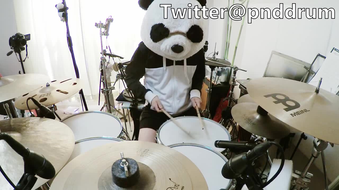 Panda song - Coub - The Biggest Video Meme Platform