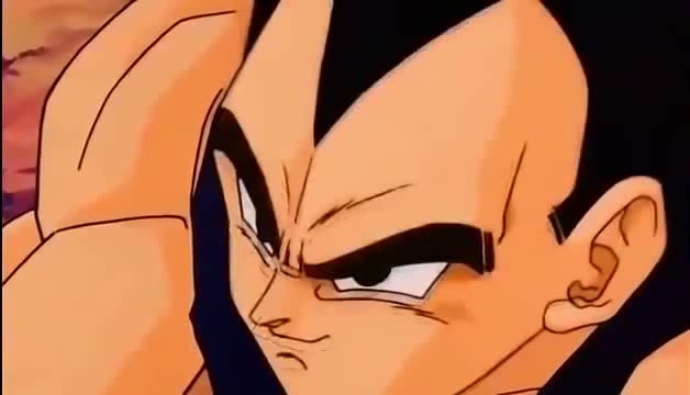 Vegeta Vs Pui Pui - Coub - The Biggest Video Meme Platform