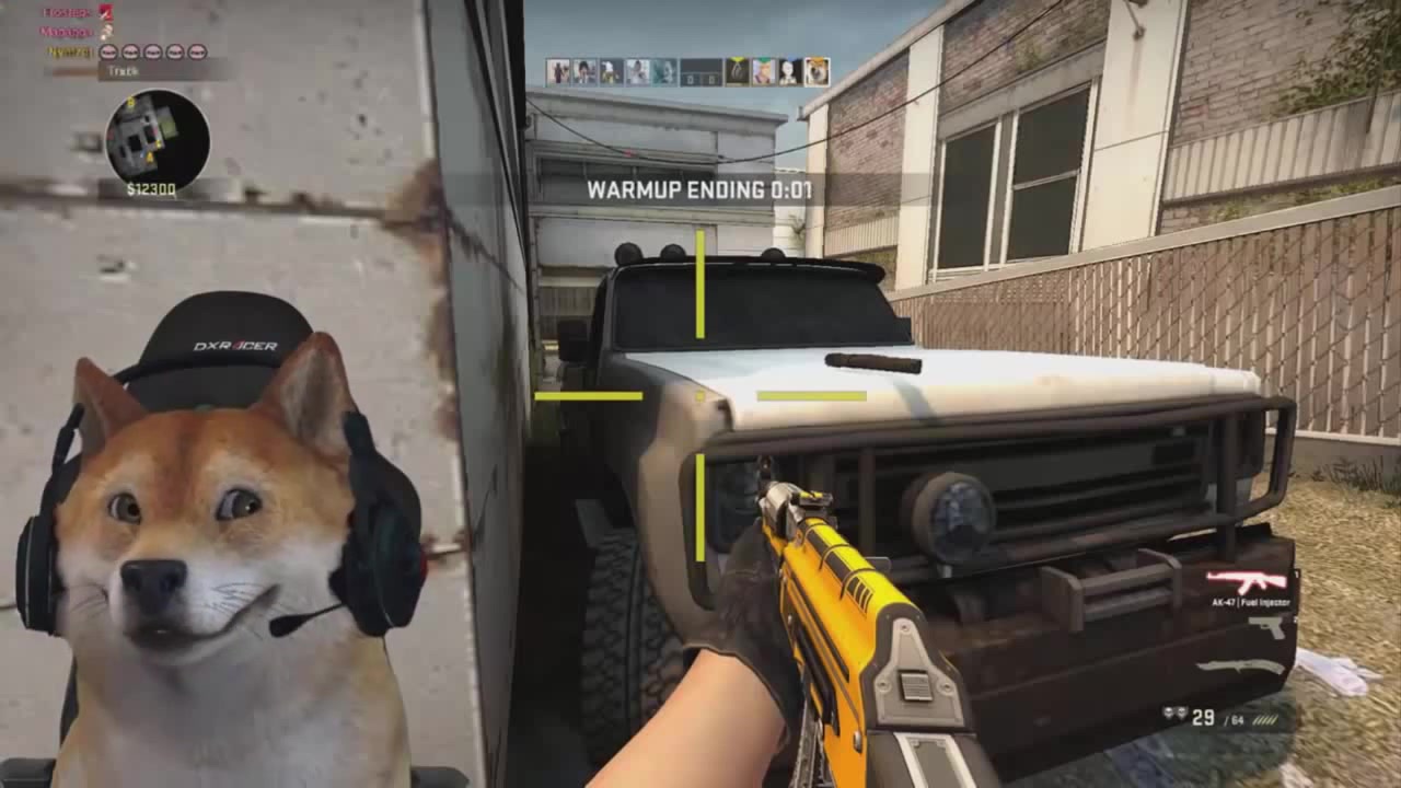 CS:GO Doge Streamer Best Moments! (TheoneManny) - Coub - The Biggest Video Meme Platform
