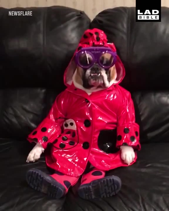 Raincoat - Coub - The Biggest Video Meme Platform