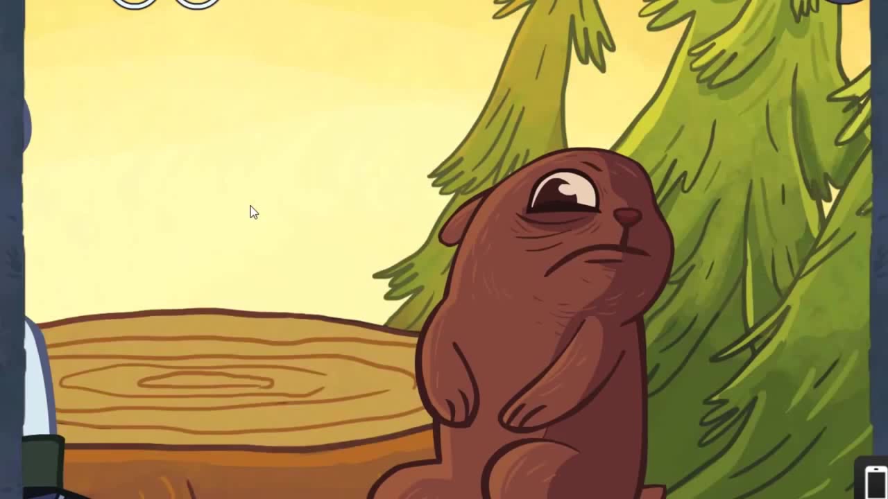 DRAMA Squirrels - Coub - The Biggest Video Meme Platform