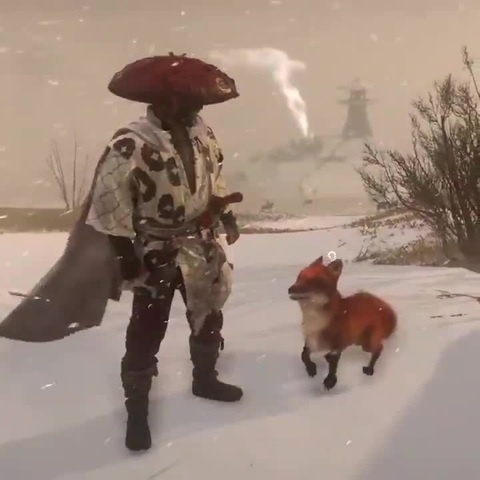 Sweety foxy - Coub - The Biggest Video Meme Platform