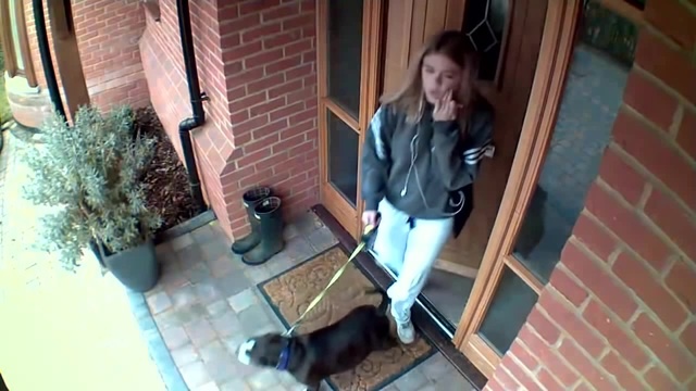 Caught on CCTV - Girl takes dog on a walk & excited dog drags her - girl goes flying - Coub ...