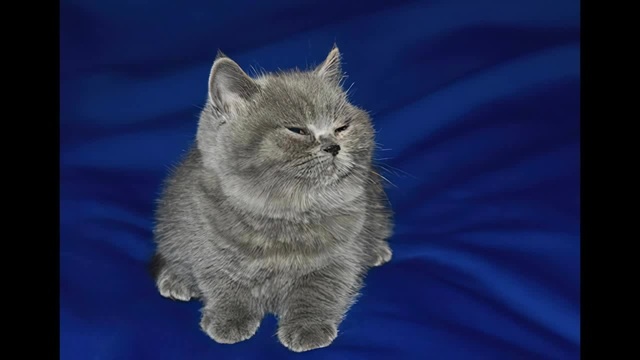 Me and Michael 4k - Coub - The Biggest Video Meme Platform