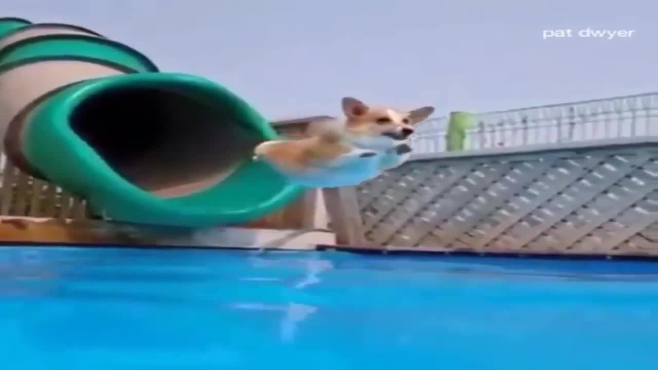 Funny Vines June 2017•Vine compilation[Play Vines]Epic fails - Coub ...