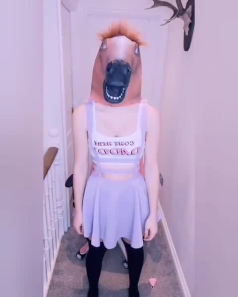 pish-pish cutehorse - Coub - The Biggest Video Meme Platform