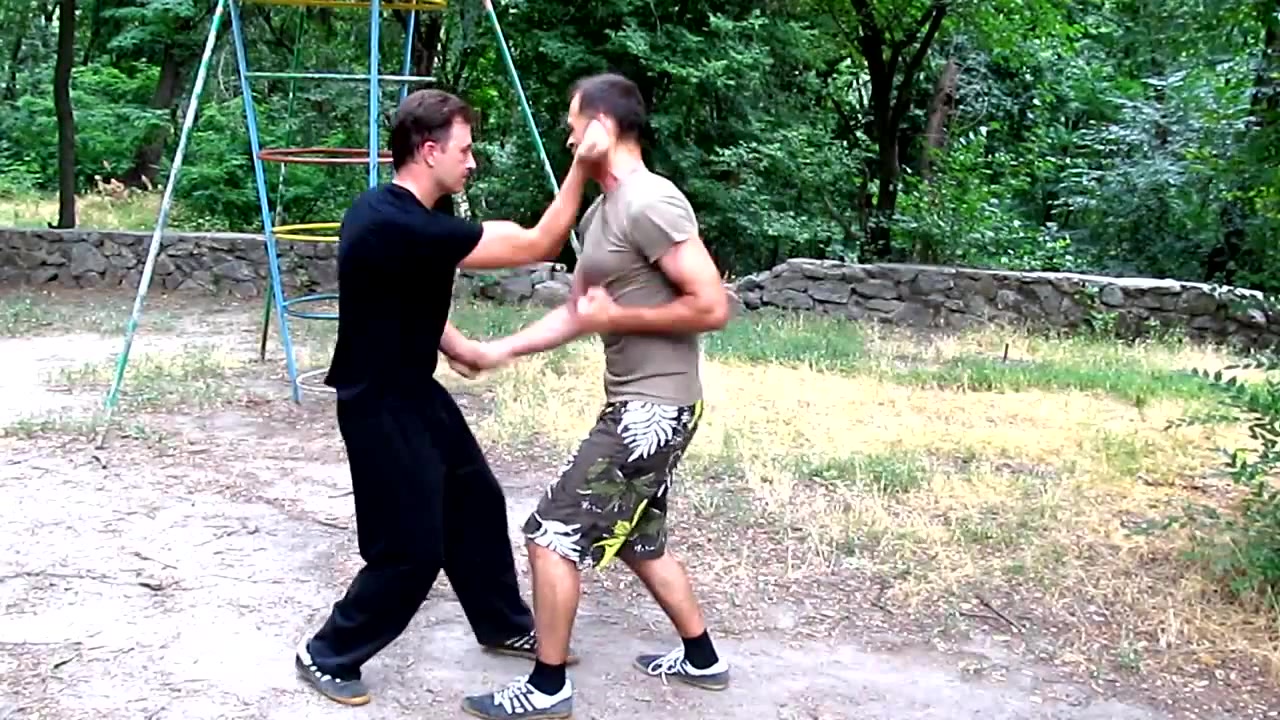 Wing Chun drills - Coub - The Biggest Video Meme Platform