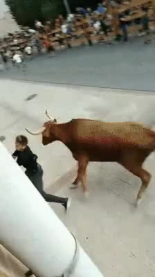 Нео на корриде! Neo on the bullfight. - Coub - The Biggest Video Meme ...