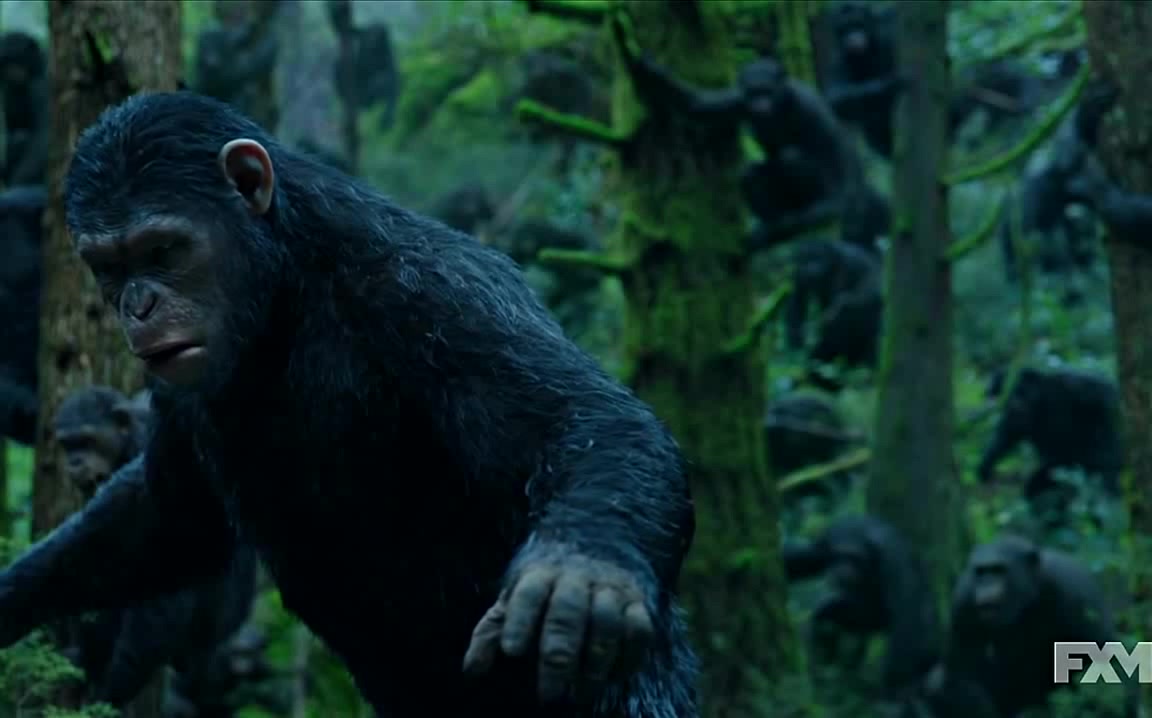 Primative - Coub - The Biggest Video Meme Platform