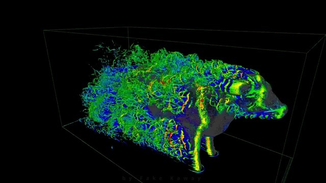 𝘼𝙚𝙧𝙤𝙙𝙮𝙣𝙖𝙢𝙞𝙘𝙨 𝙤𝙛 𝙖 𝙘𝙤𝙬 - Coub - The Biggest Video Meme Platform