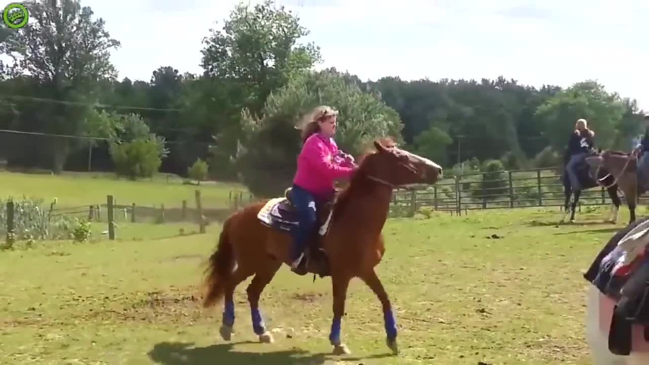 john cena's horse - Coub - The Biggest Video Meme Platform