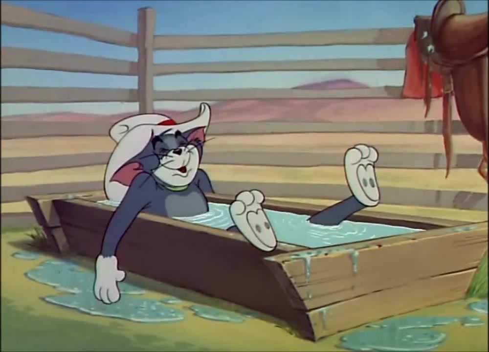 Don't worry,be happy, Tom - Coub - The Biggest Video Meme Platform