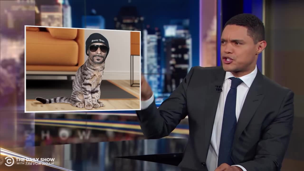 Snoop Cat - Coub - The Biggest Video Meme Platform