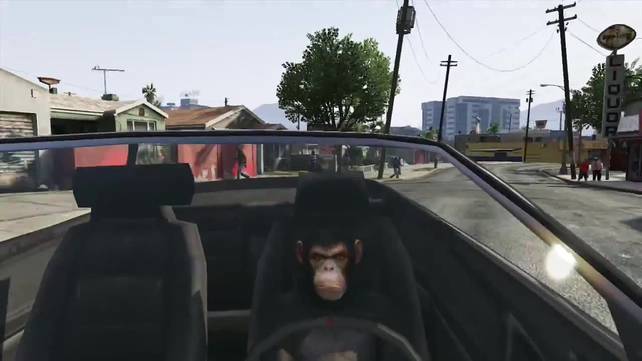 Monkey driver - Coub - The Biggest Video Meme Platform