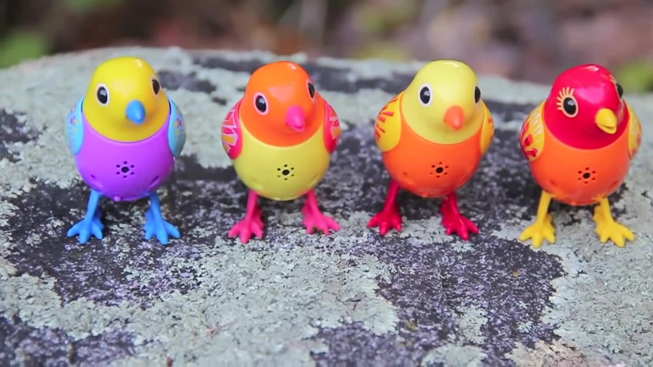 DigiBirds Review. Interactive, Tabletop Birds That Sing And Tweet ...