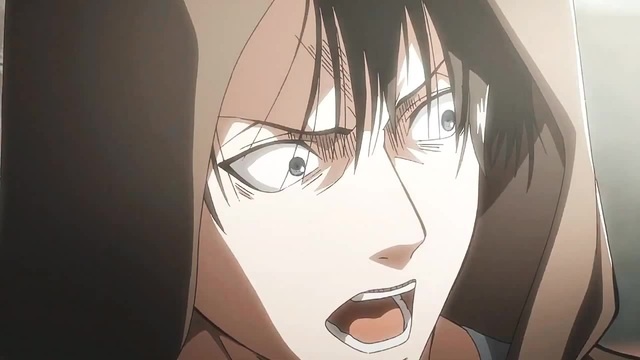 Attack On Titan || Teeth || Ackermans AMV - Coub - The Biggest Video ...