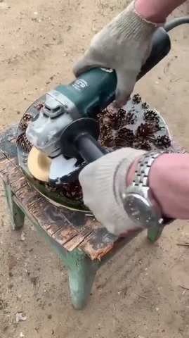 Красота - Coub - The Biggest Video Meme Platform