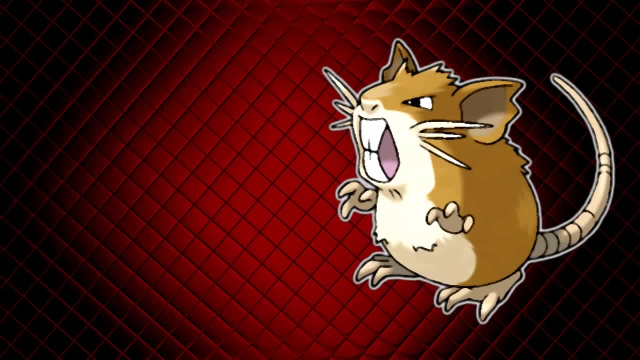 Raticate Will F*** You Up - Coub - The Biggest Video Meme Platform