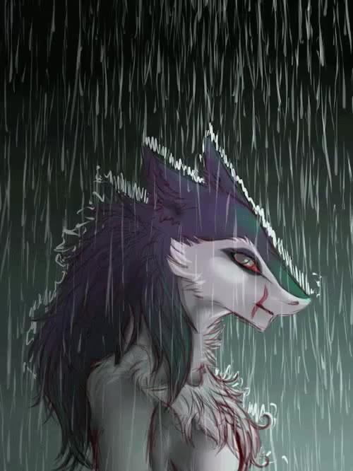 Sergal in the rain - Coub - The Biggest Video Meme Platform