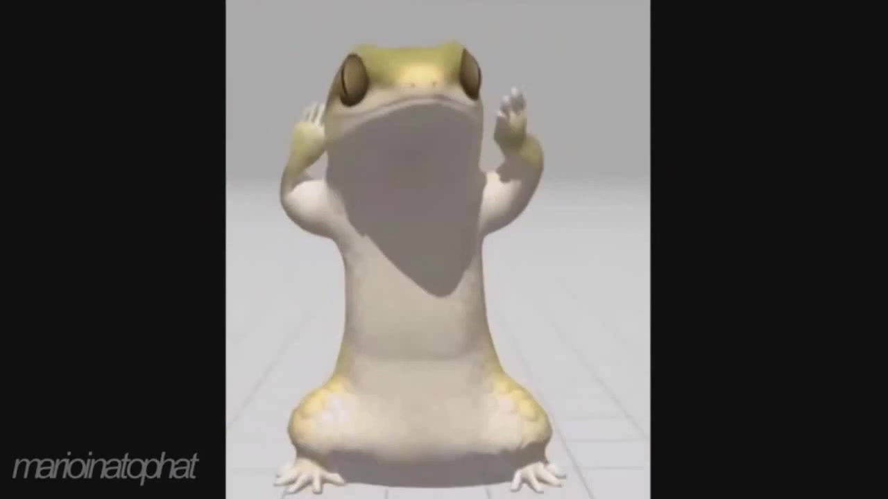 dancing lizard (Halling efter per lööf) - Coub - The Biggest Video Meme Platform
