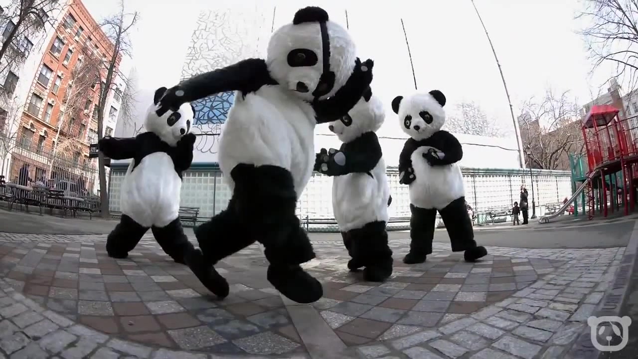 Trap Nigga Panda - Coub - The Biggest Video Meme Platform