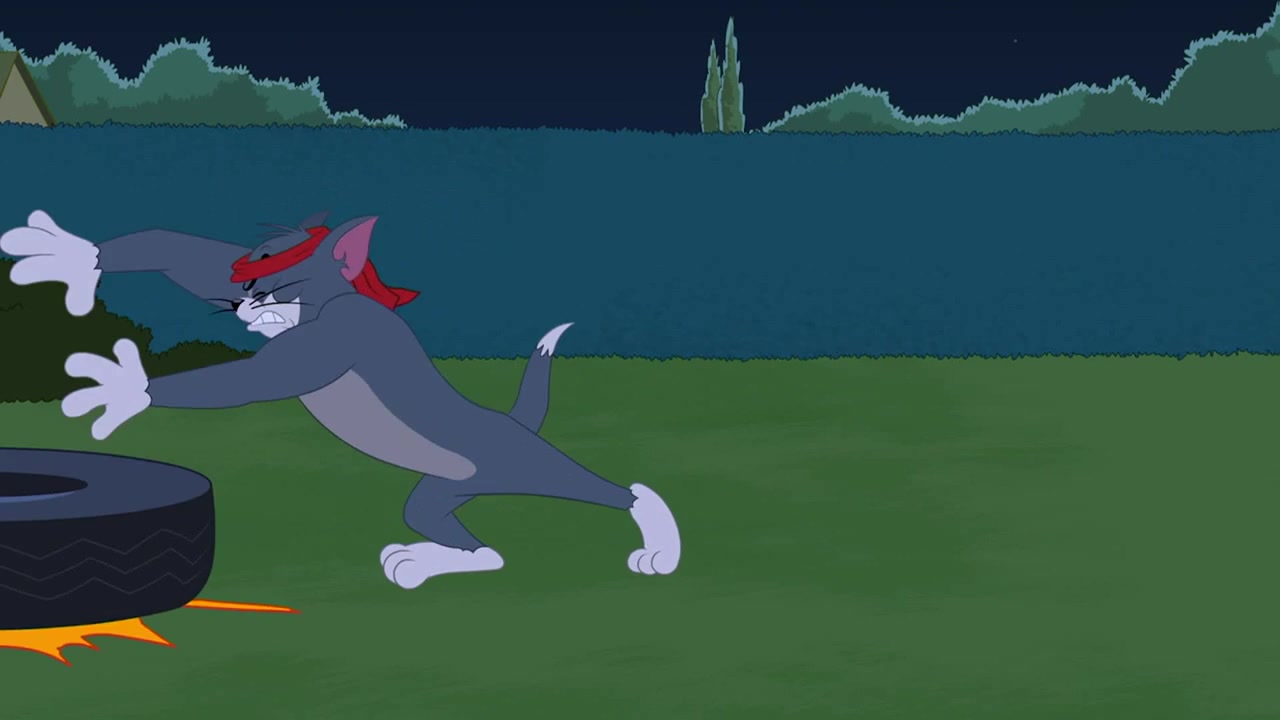 TOM - GYM CAT - Coub - The Biggest Video Meme Platform