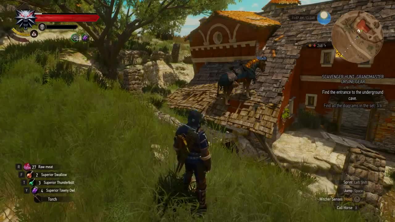 Roach on a roof - This is no place for a horse - Coub - The Biggest ...