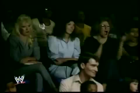 I'm having a hard time holding these alligators down. - Coub - The Biggest Video Meme Platform