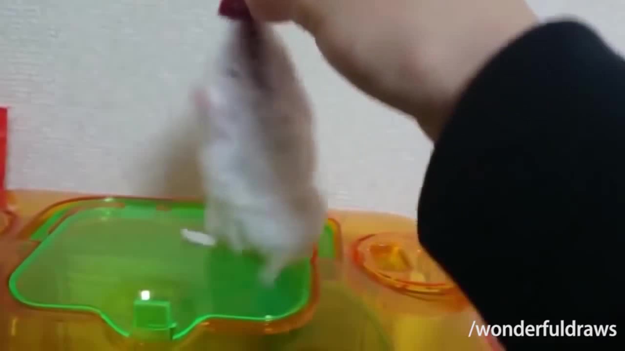 Hamster Vietnam Flashback - Coub - The Biggest Video Meme Platform